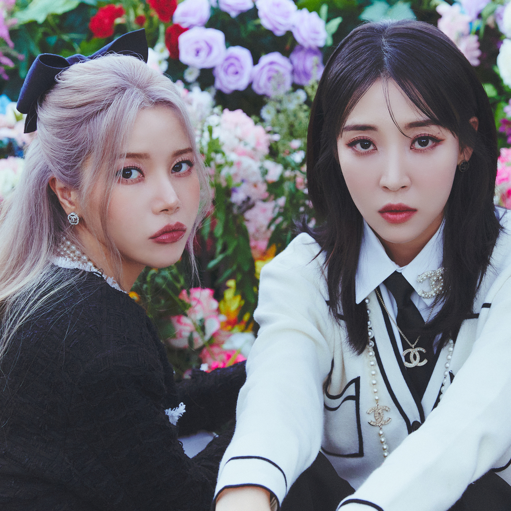 마마무+의 오늘 현황, 팬덤 데이터 관측기ㅣ케이팝레이더 (K-POP RADAR)